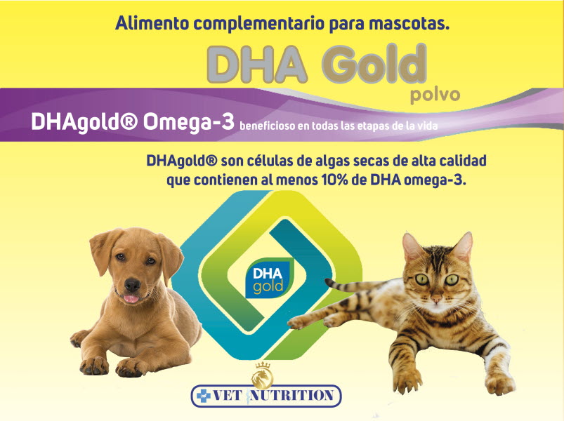 DHA Gold