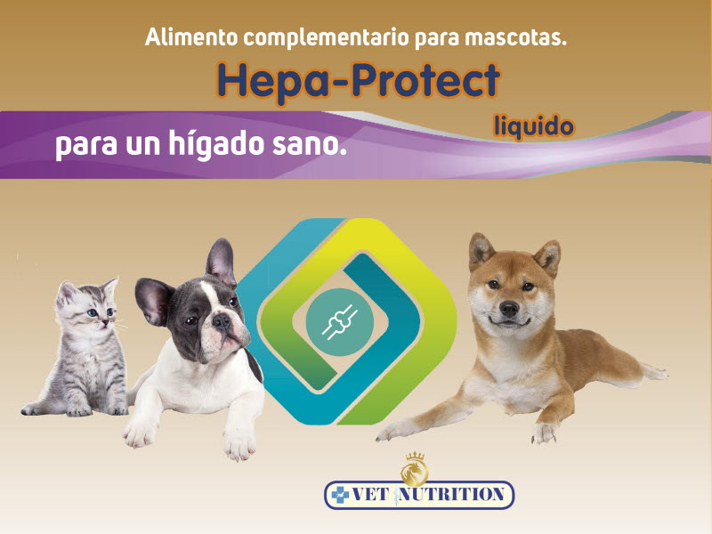 Hepa-Protect